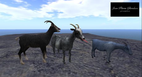 Second Life Marketplace - Goat Familiy mesh