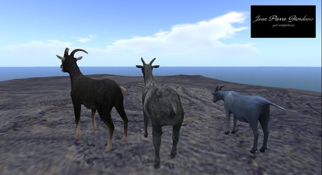 Second Life Marketplace - Goat Familiy mesh