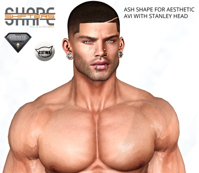 Second Life Marketplace - [SHAPEshifters] ASH SHAPE FOR AESTHETIC AVI ...