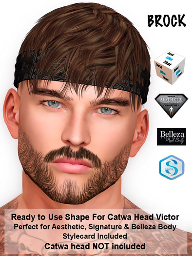 Second Life Marketplace - [JLT] - BROCK CATWA VICTOR SHAPE AESTHETIC ...