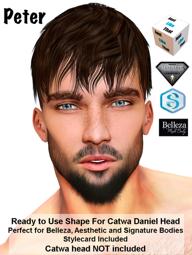 Second Life Marketplace - [JLT] PETER SHAPE CATWA DANIEL HEAD ...
