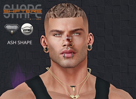 Second Life Marketplace - [SHAPEshifters] ASH SHAPE FOR AESTHETIC AVI ...