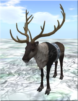 Second Life Marketplace - SUS Elven Xmas Box COMMON 7, Reindeer Comet