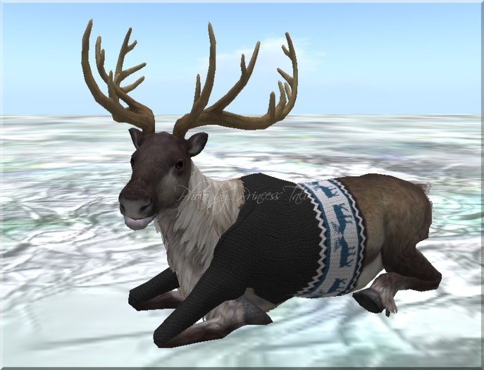 Second Life Marketplace - SUS Elven Xmas Box COMMON 8, Reindeer Cupid