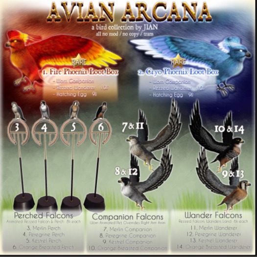 Second Life Marketplace - JIAN Avian Arcana 14. Orange Breasted Falcon ...