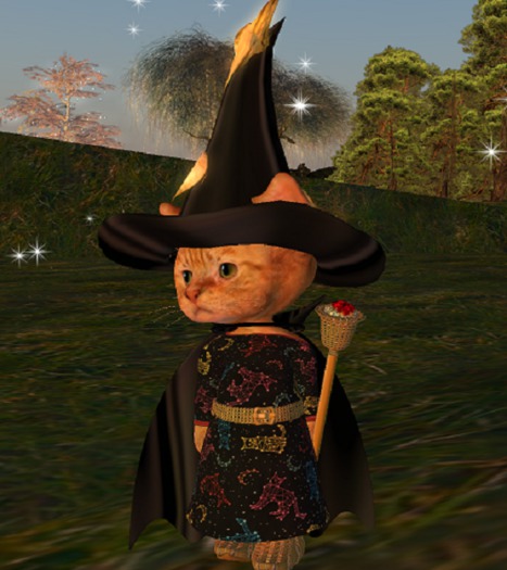 Second Life Marketplace - Dinkie Wizard Black