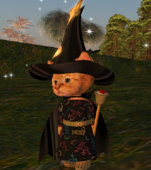 Second Life Marketplace - Dinkie Wizard Black