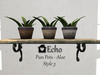 Second Life Marketplace - Echo - Pun Pots - Aloe - Style 3