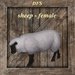 Second Life Marketplace - sheep - female DFS storage vendor crate bc