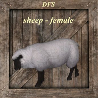 Second Life Marketplace - sheep - female DFS storage vendor crate bc