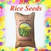 Second Life Marketplace - rice seed DFS storage vendor crate fb
