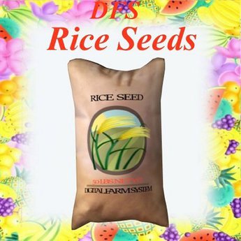 Second Life Marketplace - rice seed DFS storage vendor crate fb