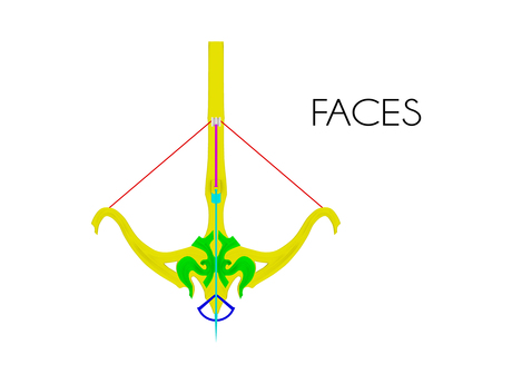 Second Life Marketplace - Full Perm Mesh Dual Wield Cross Bow For Left ...