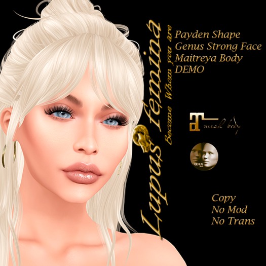 Second Life Marketplace - "Lupus Femina" Payden Shape - Genus Strong ...
