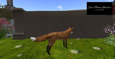 Second Life Marketplace - The Fox mesh