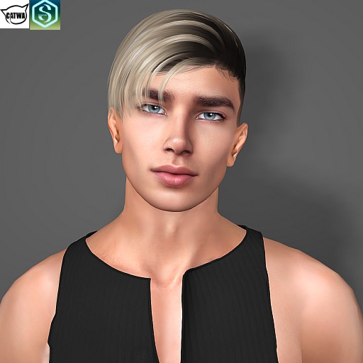 Second Life Marketplace - Shape / CATWA HEAD Daniel and [SIGNATURE ...