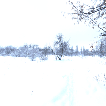 Second Life Marketplace - Skybox winter - snow 6 panoramic textures set 3