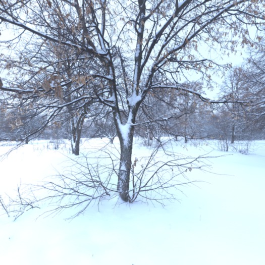 Second Life Marketplace - Skybox winter - snow 6 panoramic textures set 3