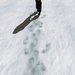 Second Life Marketplace - -SHN- Snow Prints .Pack.
