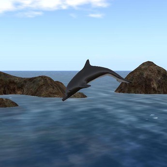 Second Life Marketplace - Jumping Dolphin V2 On/Off Sim