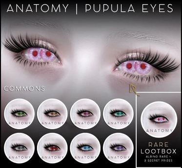 Second Life Marketplace - ANATOMY - PUPULA EYES - PINK -COMMON