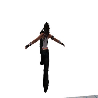Second Life Marketplace - n&n Poses Animation: dream dance animation