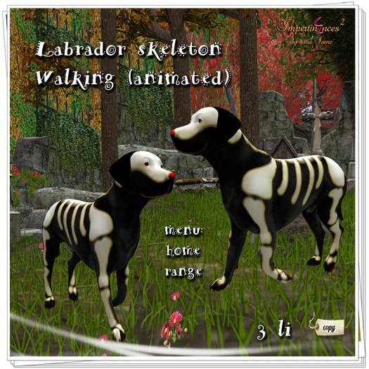 Second Life Marketplace - Labrador - skeleton -Walking ( animated).
