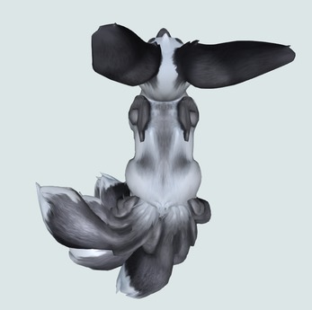 Second Life Marketplace - {NB} Spirit Fennec Silver Fox Applier