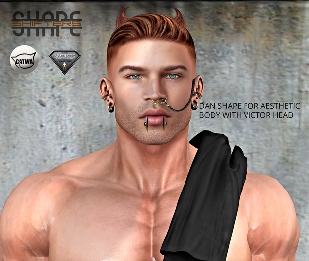 Second Life Marketplace - [SHAPEshifters] DAN SHAPE FOR AESTHETIC BODY ...