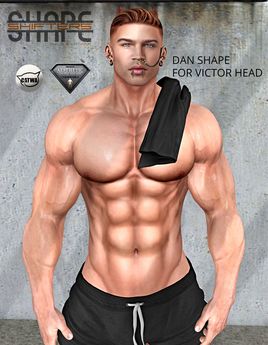 Second Life Marketplace - [SHAPEshifters] DAN SHAPE FOR AESTHETIC BODY ...