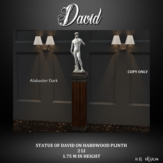 Second Life Marketplace - BHD DAVID (AD)