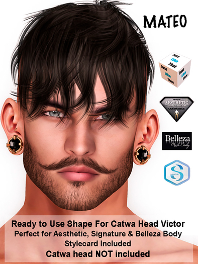 Second Life Marketplace - [JLT] - MATEO CATWA VICTOR SHAPE AESTHETIC ...