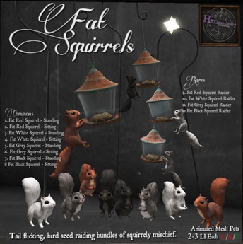 Second Life Marketplace - 5. *HEXtraordinary* Fat Grey Squirrel - Standing