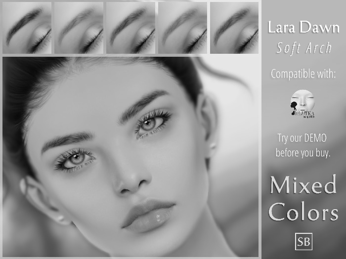 Second Life Marketplace - Eyebrows, Lelutka: LaraDawn.SoftArch DEMO