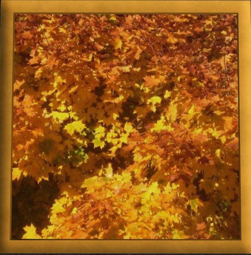 Second Life Marketplace - Original photo: Autumn leaves - Orange in Frame