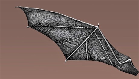 Second Life Marketplace - Valkyrie Designed Silver Veins Jinx Bento Bat ...
