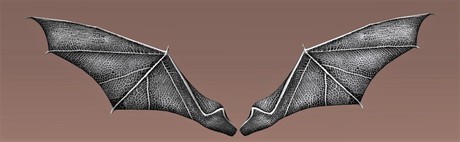 Second Life Marketplace - Valkyrie Designed Silver Veins Jinx Bento Bat ...