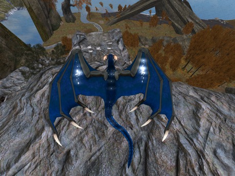 Second Life Marketplace - [INKED] European Dragon Replaced Wings