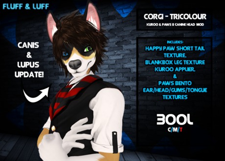 Second Life Marketplace - F&L - Corgi - Kuroo Mod - Tricolour