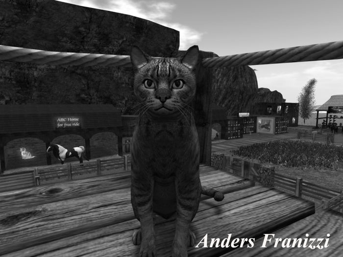 Second Life Marketplace - Cat picture