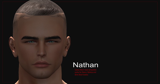 Second Life Marketplace - NATHAN - MALE - SKIN - TONE 4
