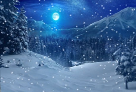 Second Life Marketplace - Animated Snow Forest 2D