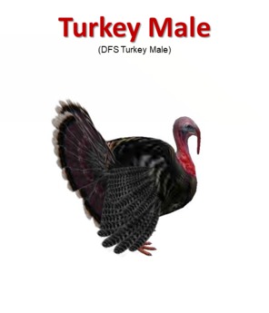 Second Life Marketplace - DFS Turkey Male (Texture)