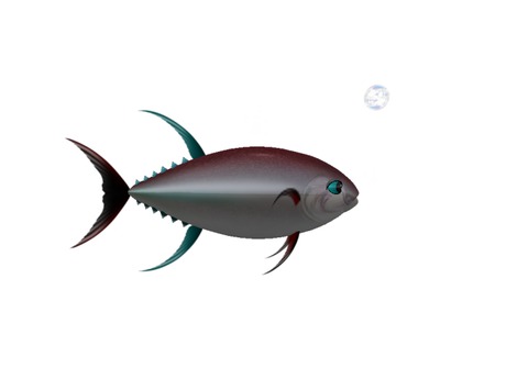 Second Life Marketplace - (7S) Rare Fish: Tuna 18 in