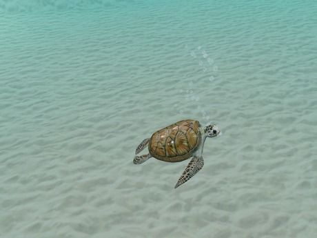 Second Life Marketplace - Sea Turtle