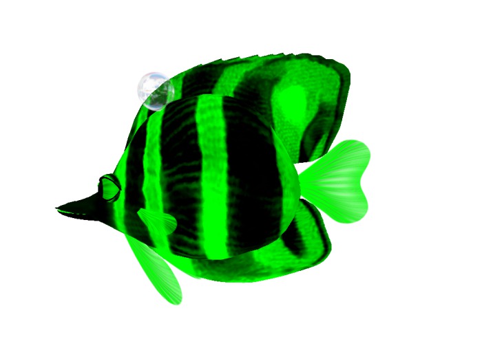 Second Life Marketplace - (7S) Rare Fish: Shift Banded Fish
