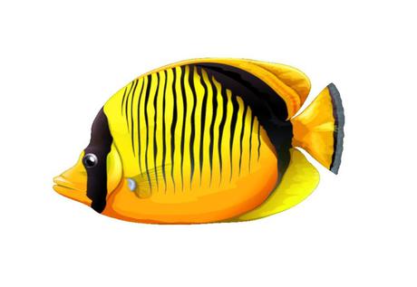 Second Life Marketplace - Tropical Fish 14 Alpha Texture - Full Perm