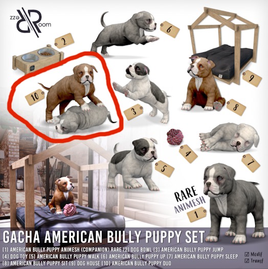 Second Life Marketplace - [Rezz Room] Box American Bully Puppy Duo
