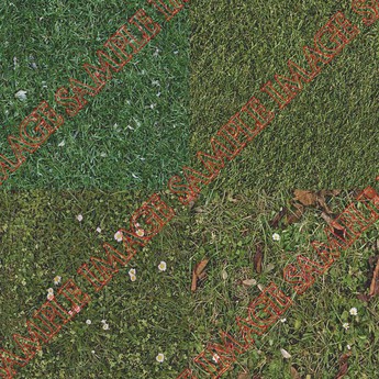 Second Life Marketplace - Parkins Textures - Grassy B Set - 20x Full ...