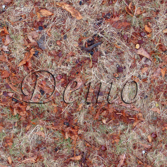 Second Life Marketplace - PARIS Autumn Ground Textures